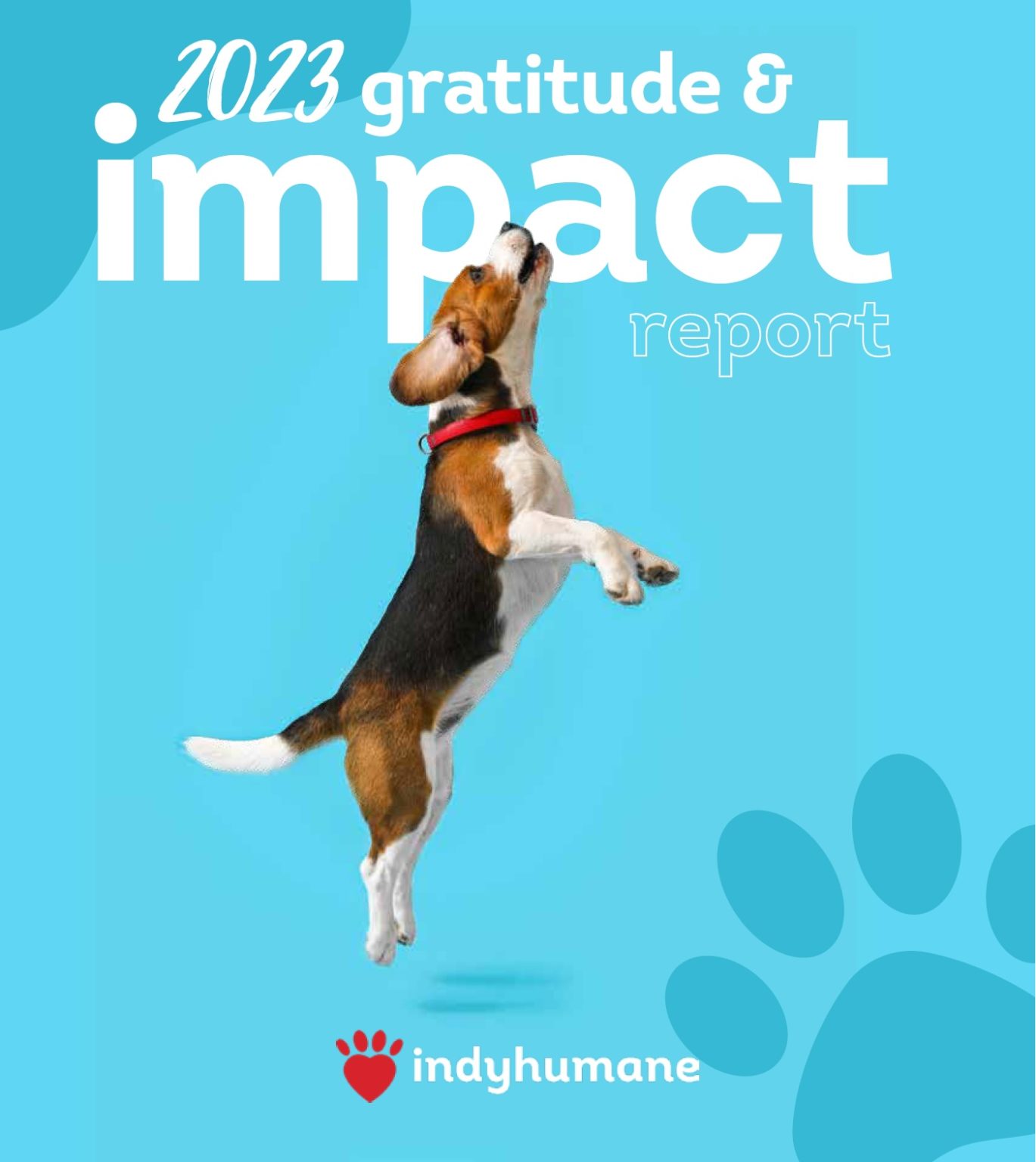 2023 Impact Report – IndyHumane